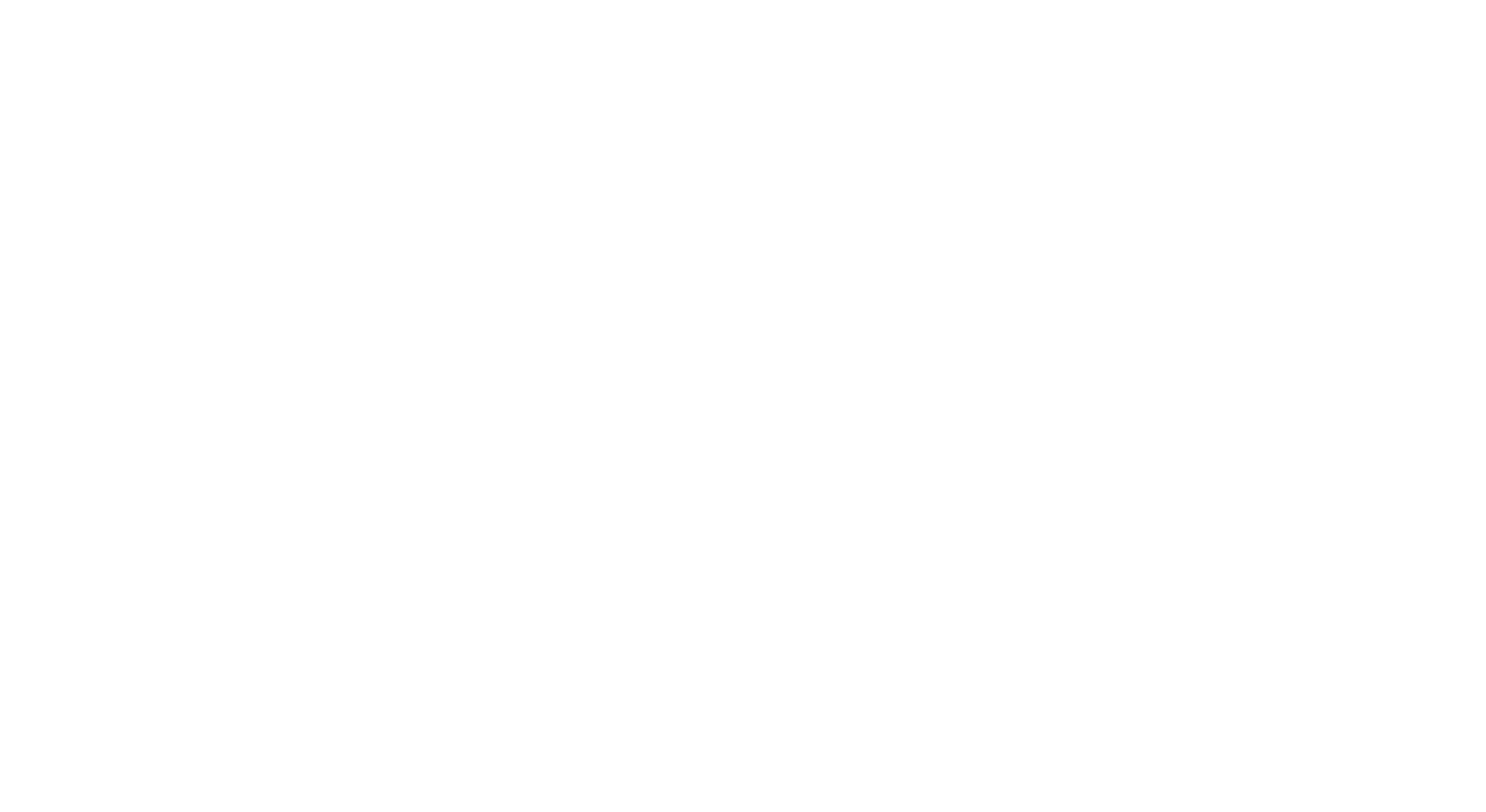 Leadership - Modisoft