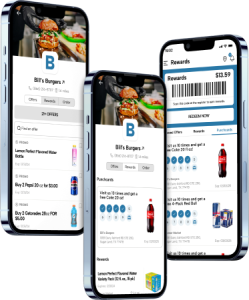 Online Ordering System | Modisoft